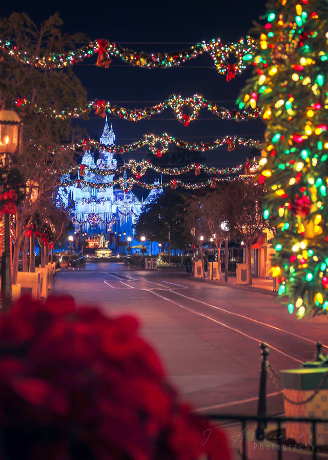 Disney Canvas Prints Here! – Prints by Joseph Alexander Photography